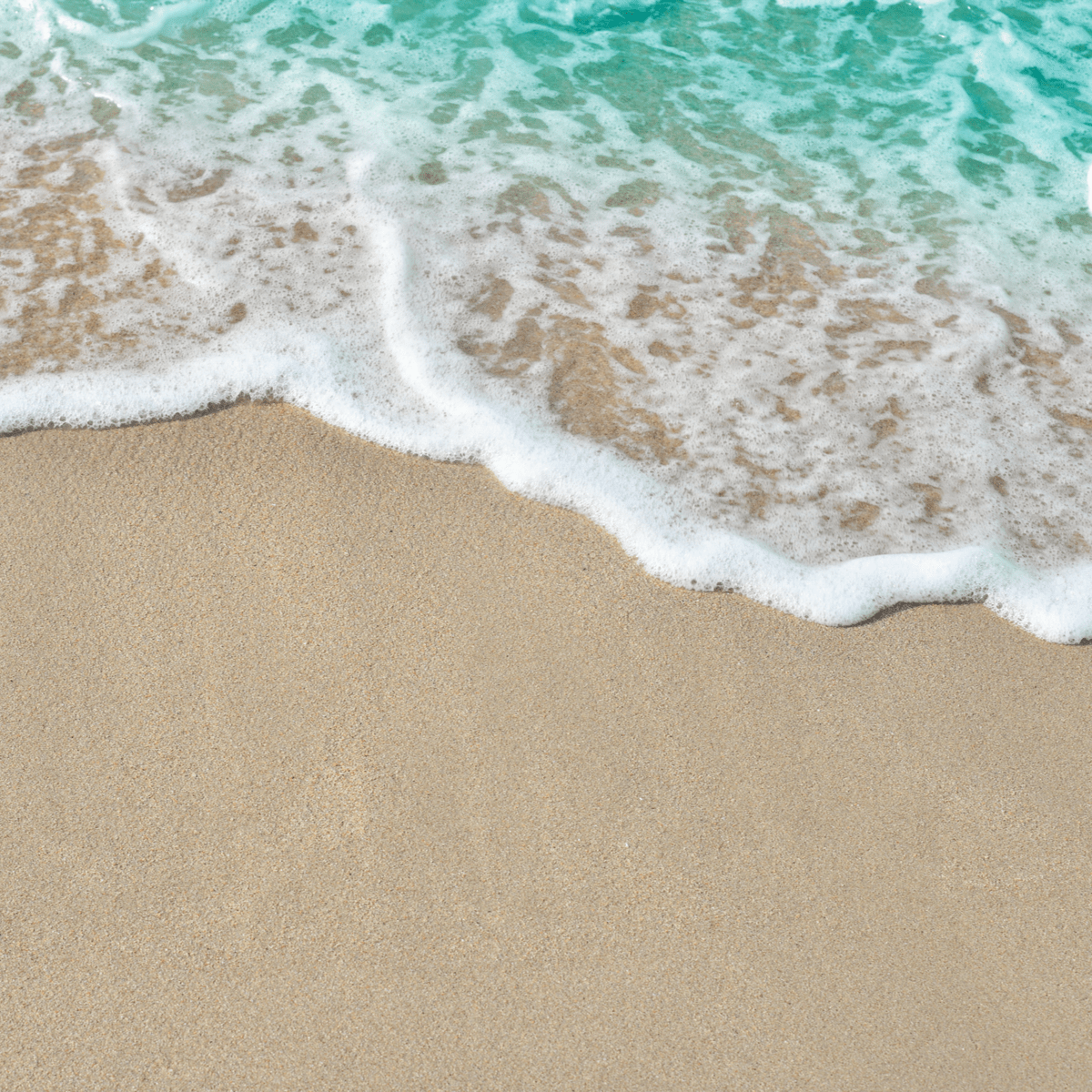 Sea Foam Fragrance Oil – The Candle Loft